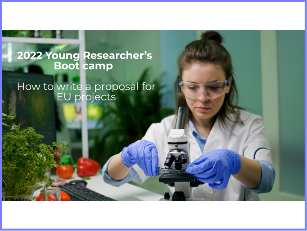 Young Researcher's Boot Camp 2022 - How to write a proposal